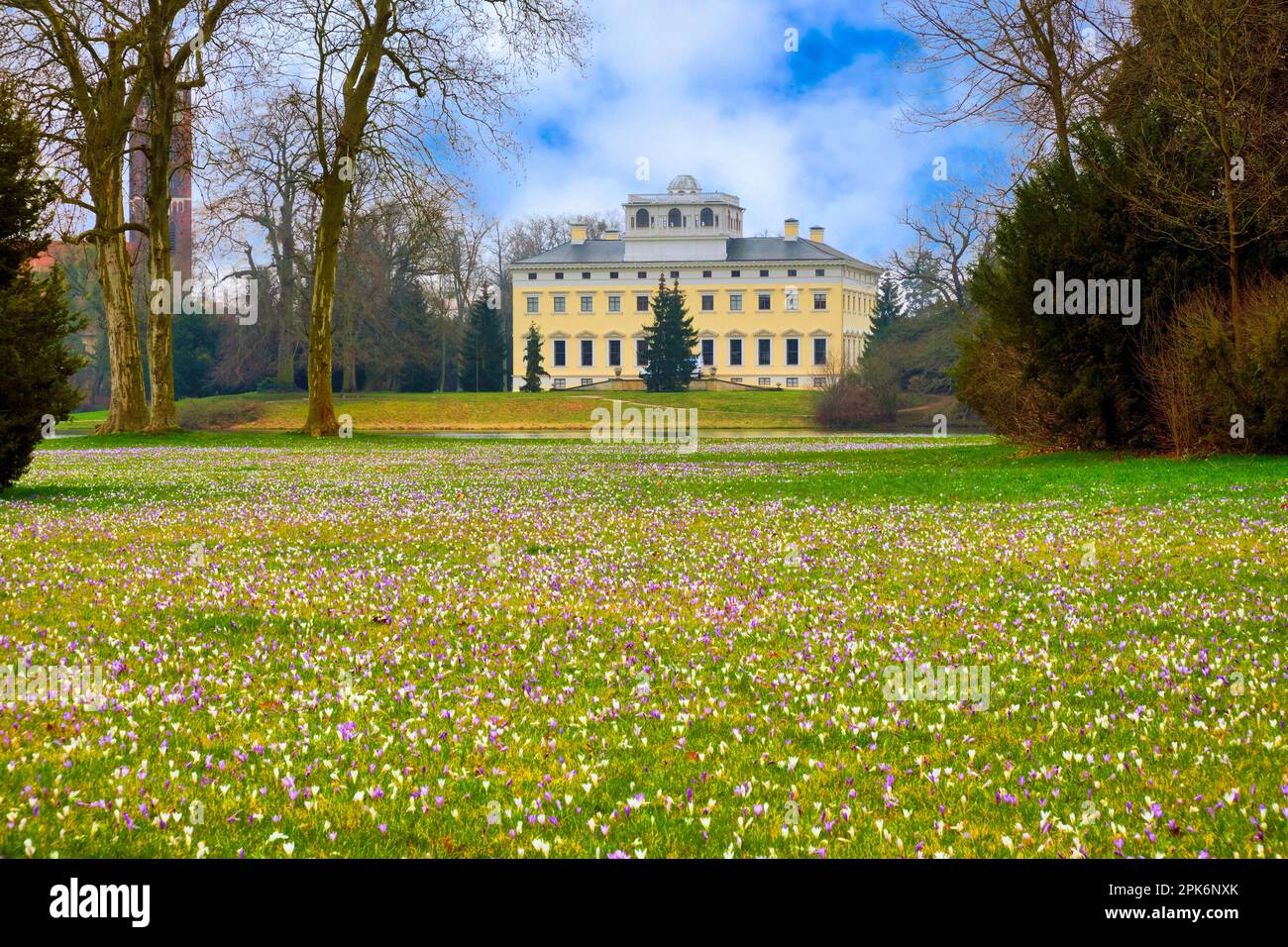 Crocus meadow, castle, Woerlitz Park, UNESCO World Heritage Garden ...