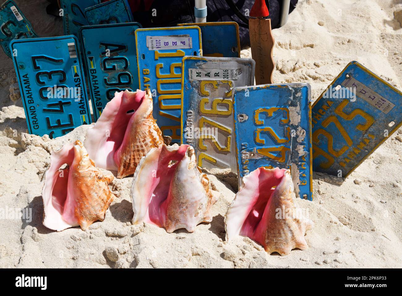 Conch shells souvenirs hi-res stock photography and images - Alamy