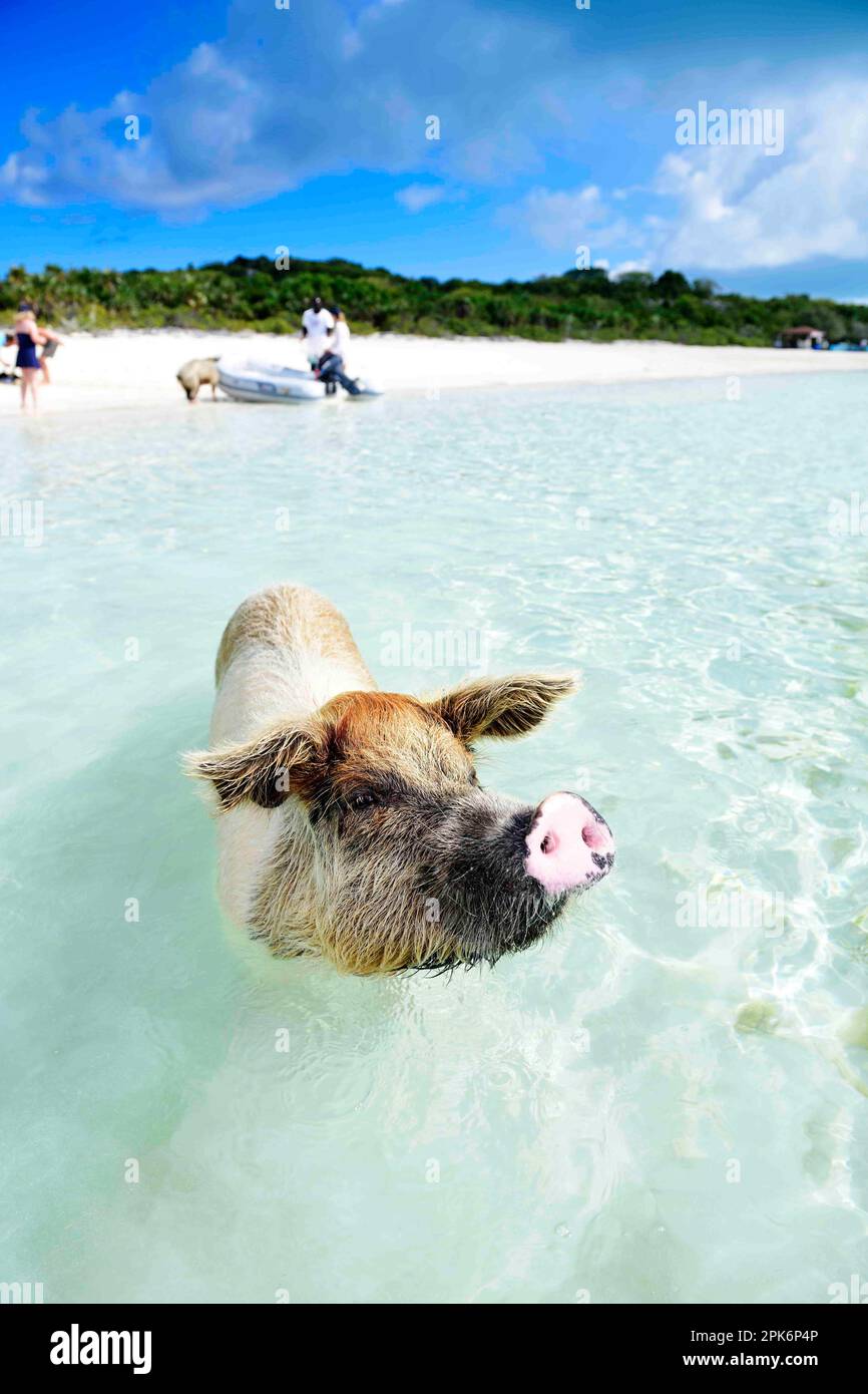 Bahamas big major cay exuma hi-res stock photography and images - Alamy