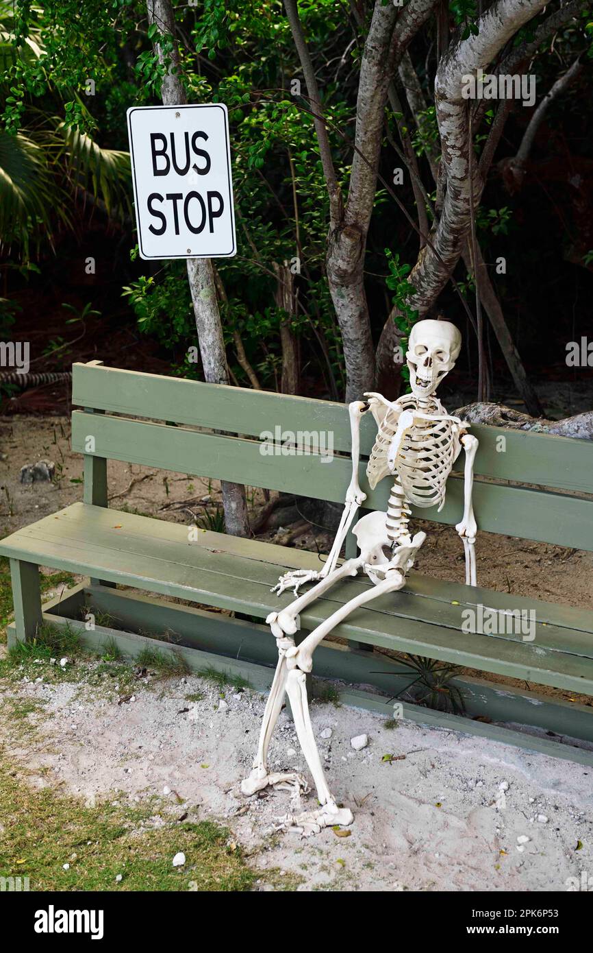 Skeleton sitting at the bus stop of Highbourne Cay, Exuma Cays, Bahamas ...