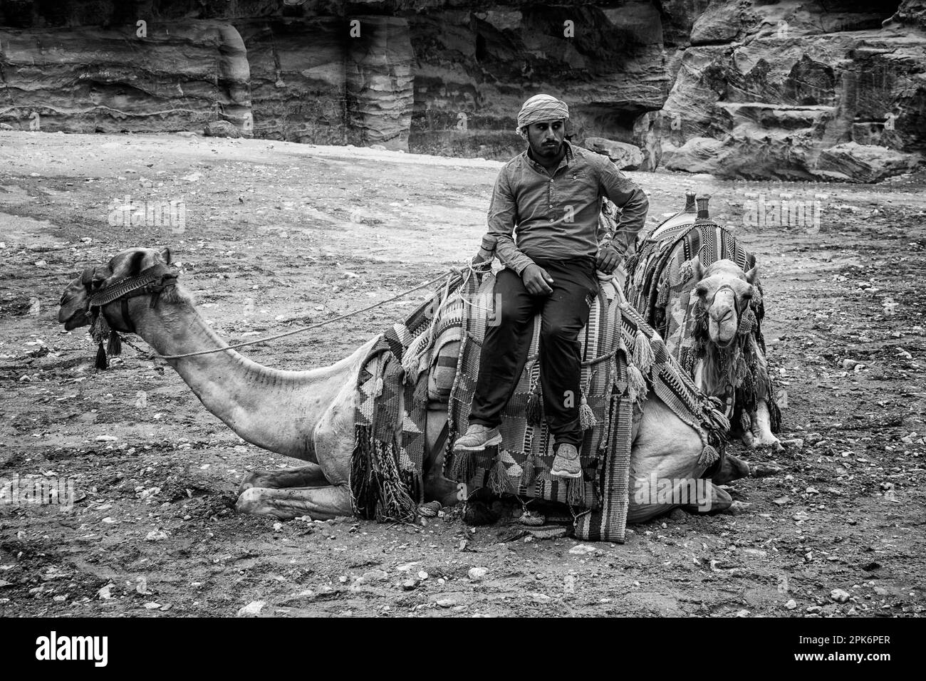 Camel rides at the entrance UNESCO heritage site in colour. Jordan ...