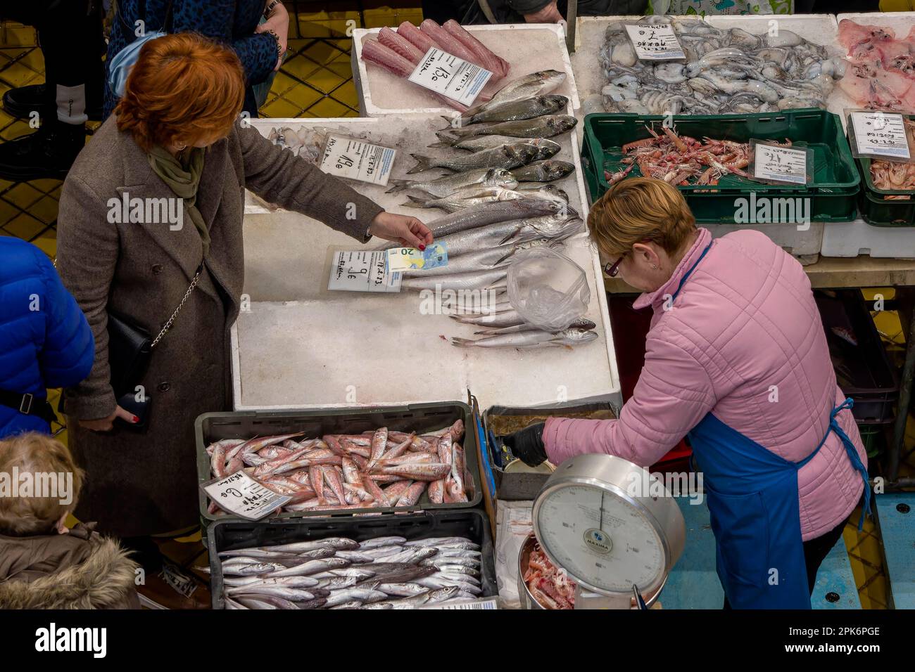 Birds eye view colour photo of a stall full of different fish (sardine ...