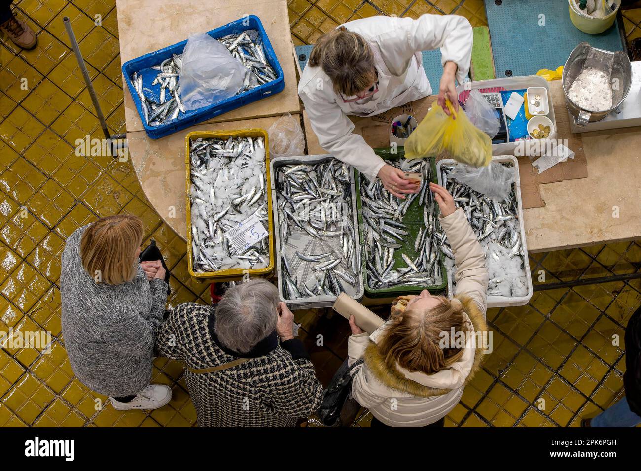 Birds eye colour photo of a stall full of sardines with the seller and ...