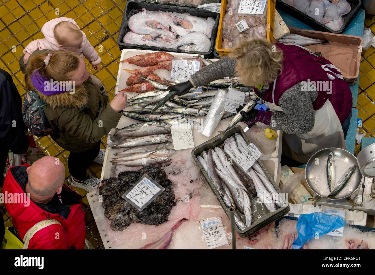 Birds eye view colour photo of a stall full of different fish (sardine ...