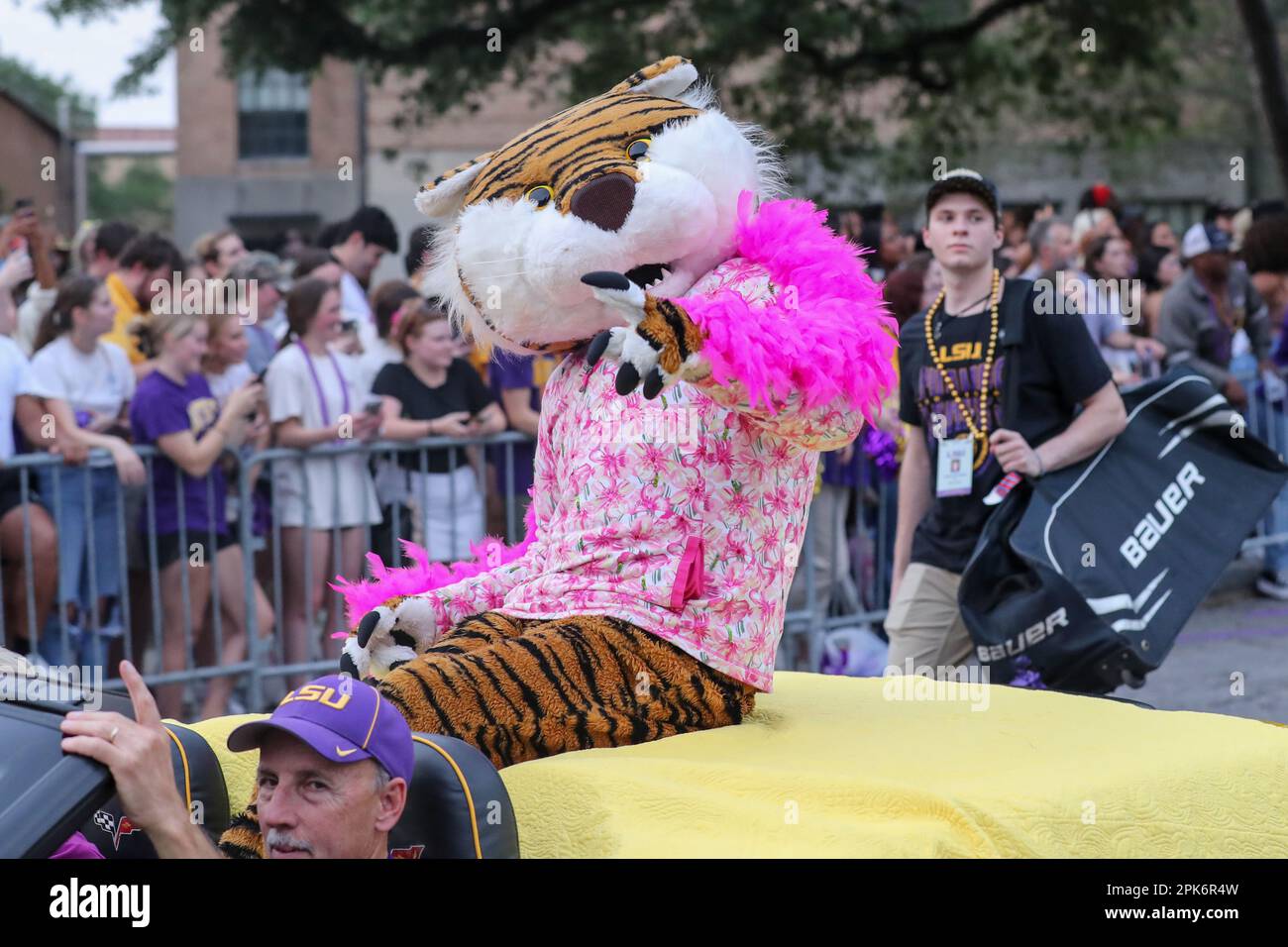 Baton Rouge, LA, USA. 5th Apr, 2023. LSU's mascot Mike the Tiger points ...