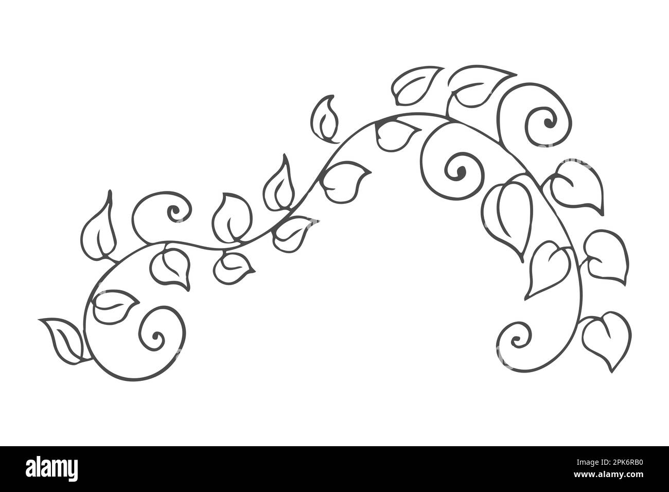 Doodle hand drawn leaves, foliage, cute elegant aesthetic plant ...