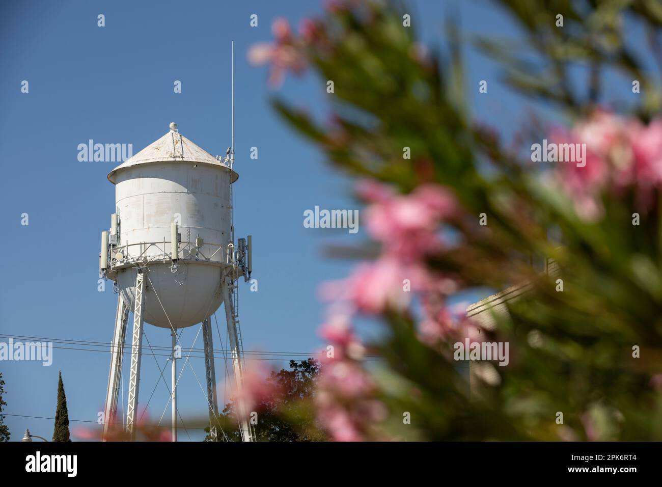 Afternoon sun shines on a historic downtown water tower of Elk Grove ...