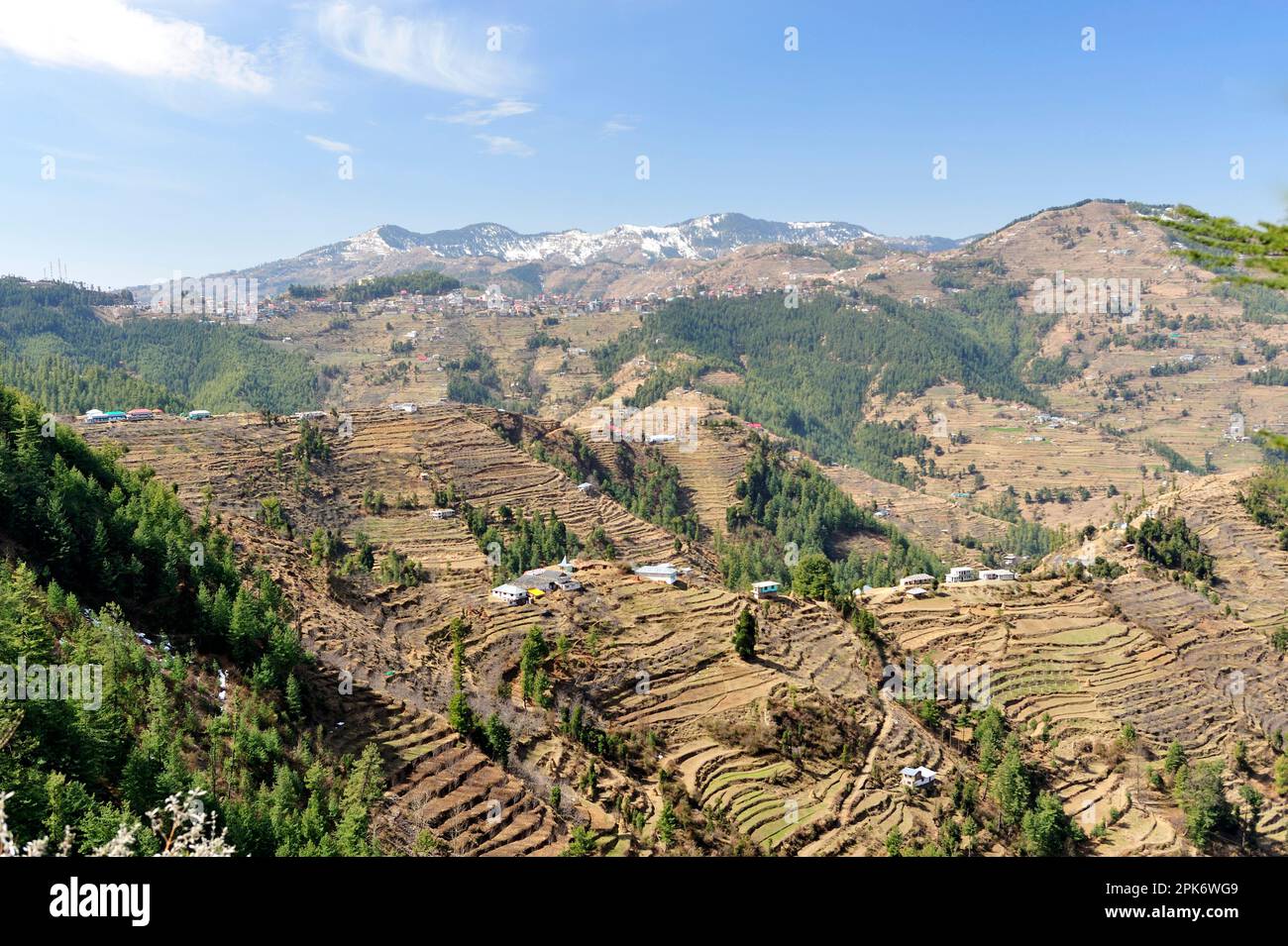 Terrace farming himachal pradesh india Stock Photo - Alamy