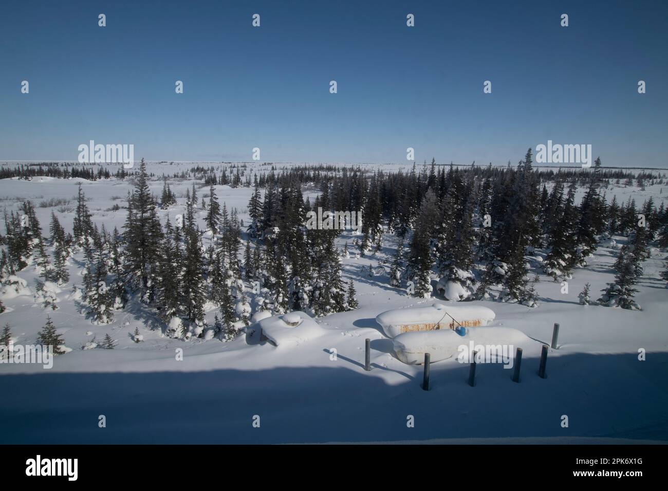 Boreal forest canada hi-res stock photography and images - Alamy