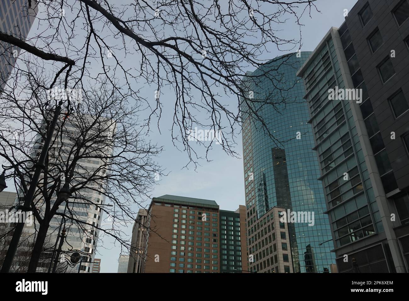 Skyline buildings trees branches hi-res stock photography and images ...
