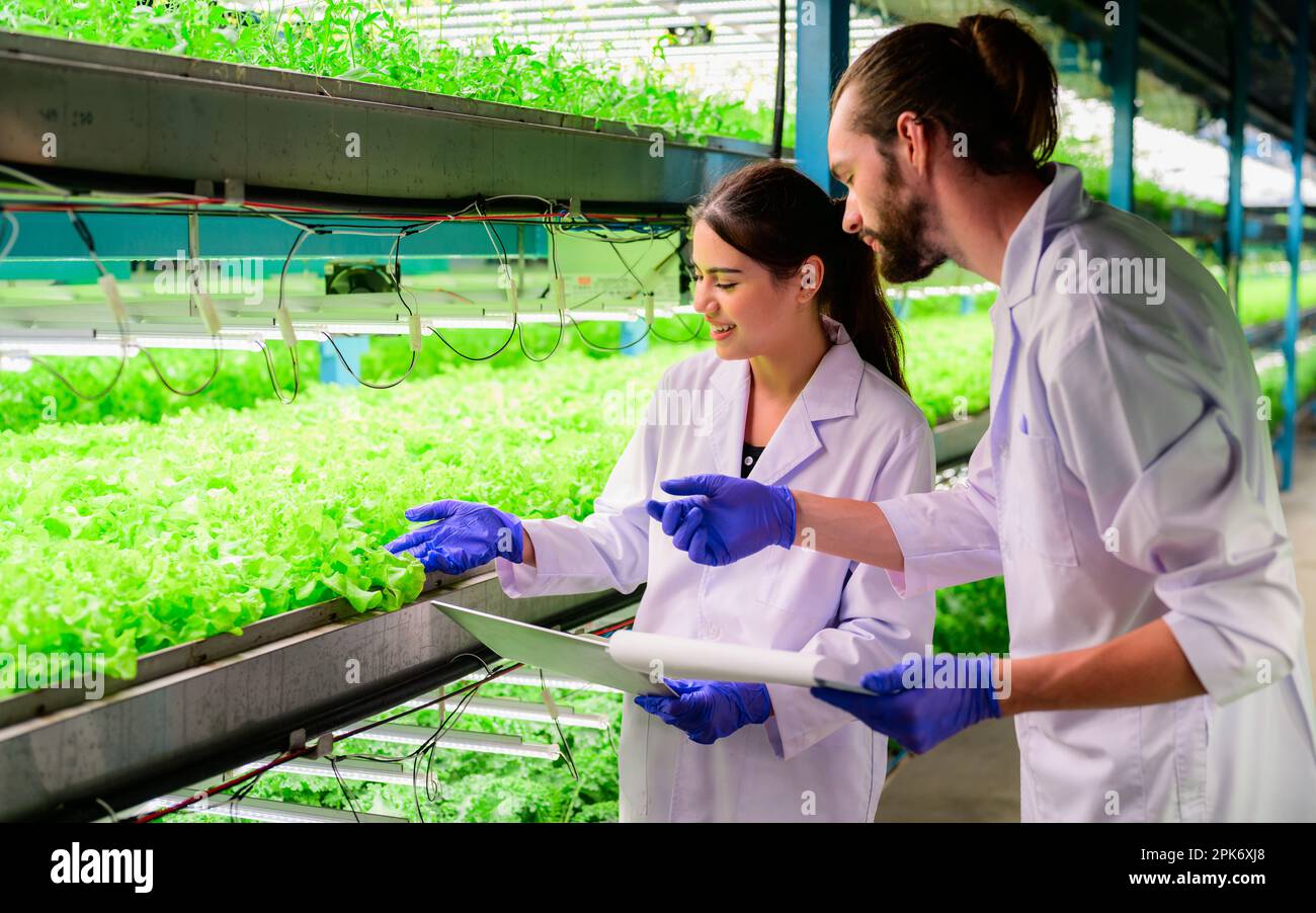 Scientists farmer checking and working together at greenhouse ...