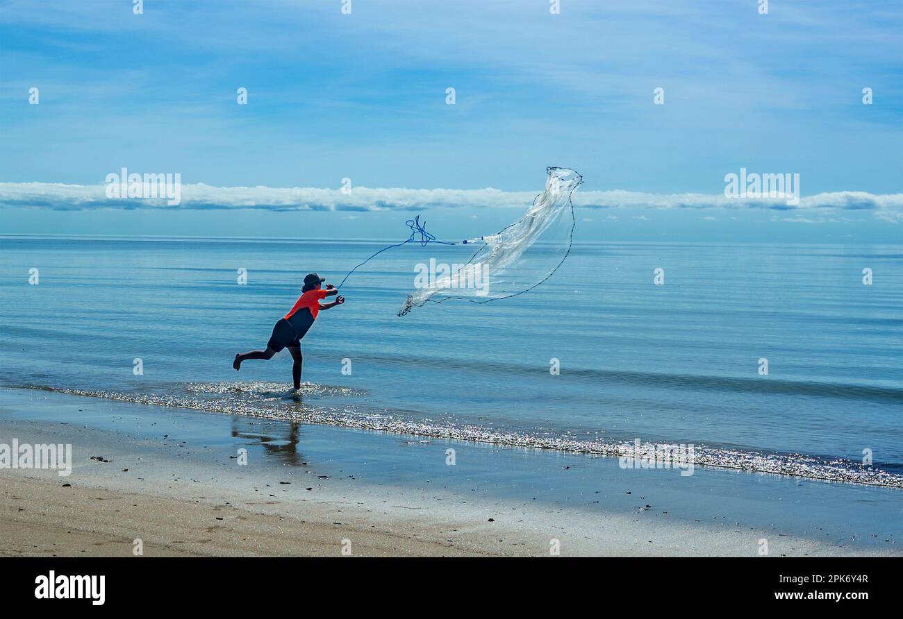 Fisherman throwing a net in the Coral Sea, Far North Queensland, QLD ...