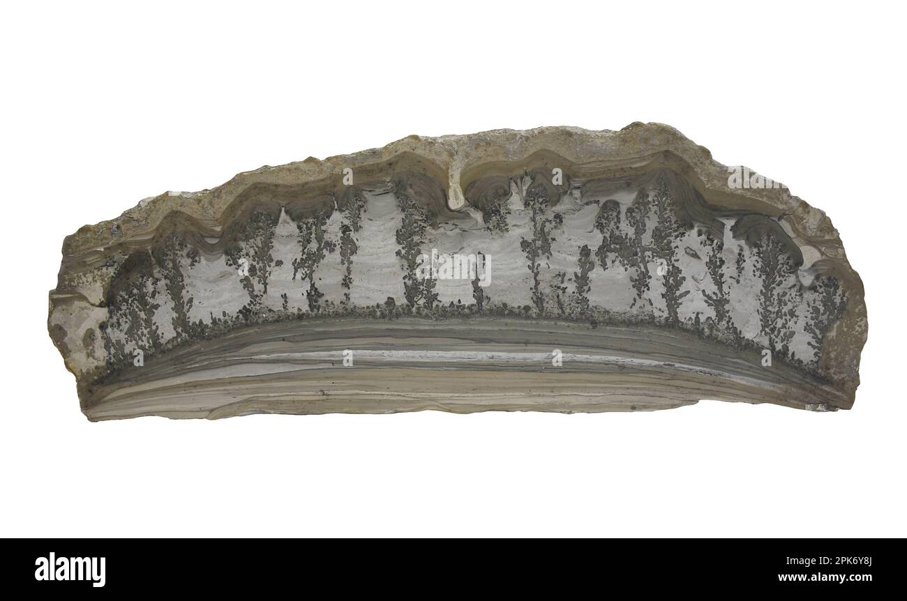 Sedimentary marble Cut Out Stock Images & Pictures - Alamy