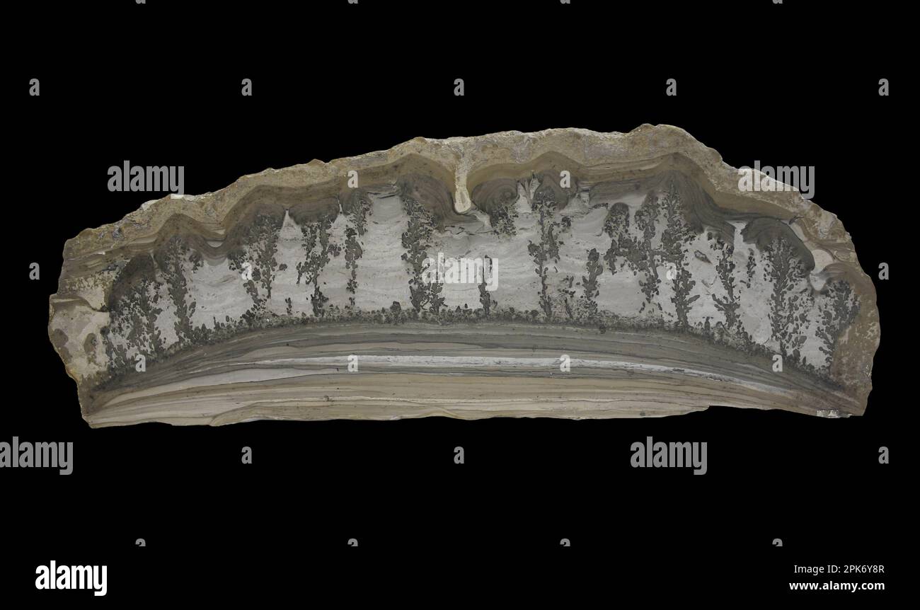 Cotham Landscape Marble Stock Photo - Alamy