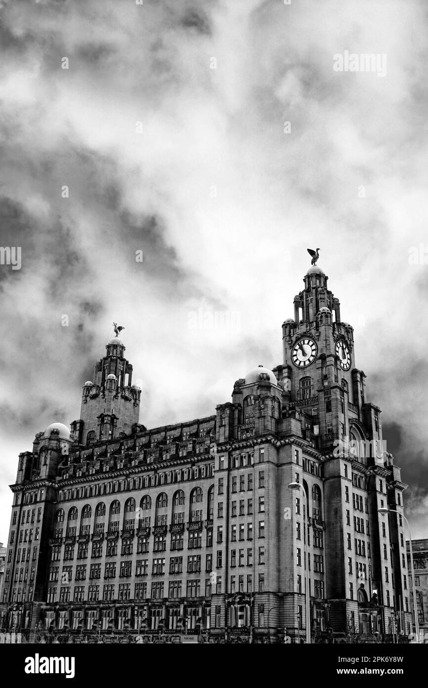 The royal liver building Black and White Stock Photos & Images - Alamy