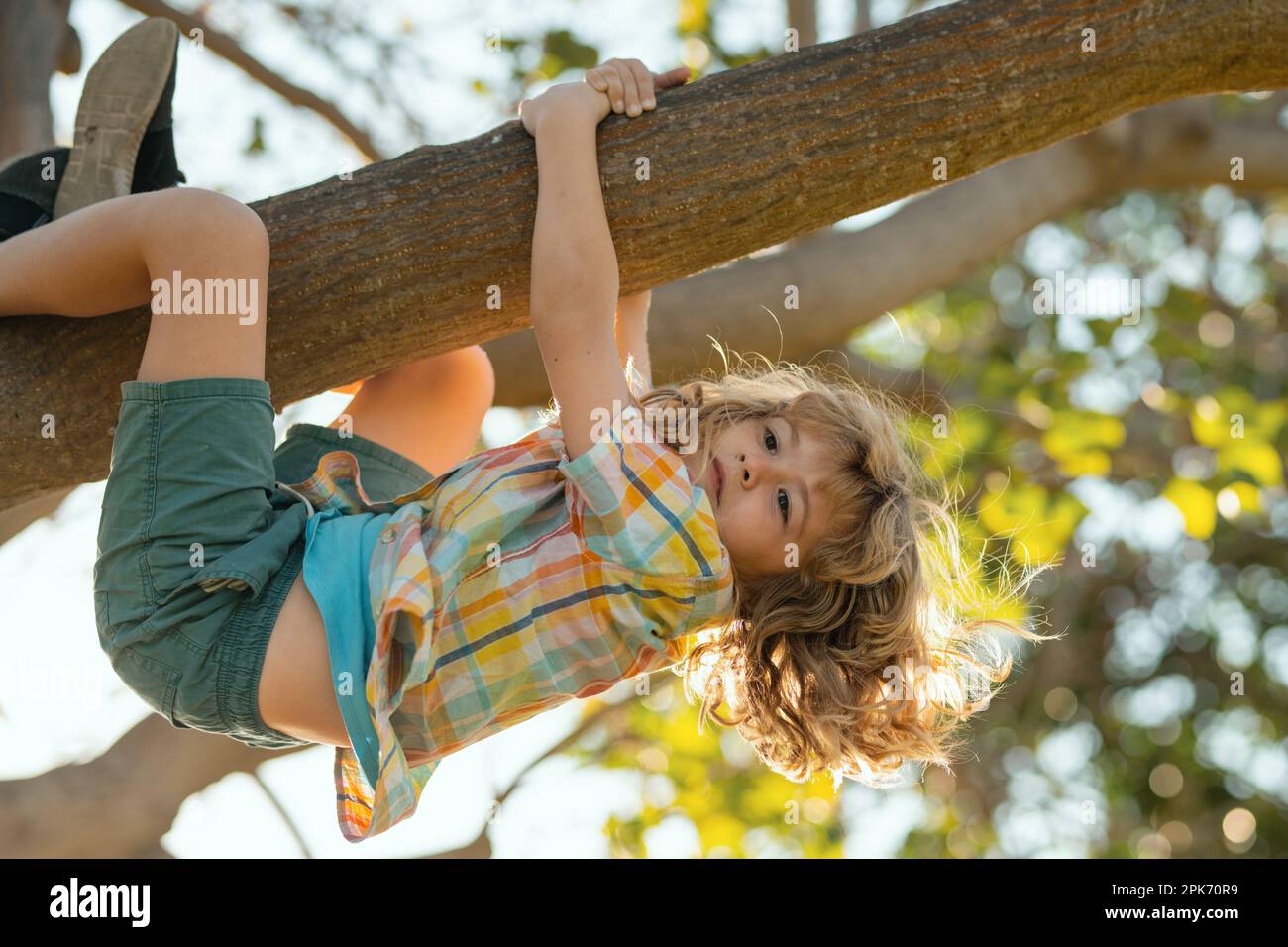 Child on a tree branch. Child climbing in adventure activity park ...