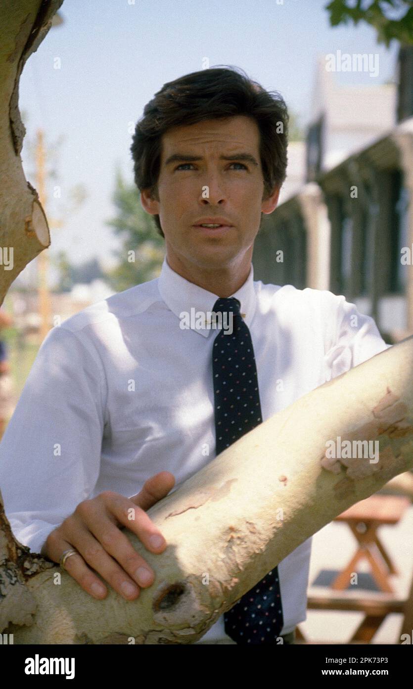 Pierce Brosnan Remington Steele Pierce Brosnan Photo 66 best Pierce ...