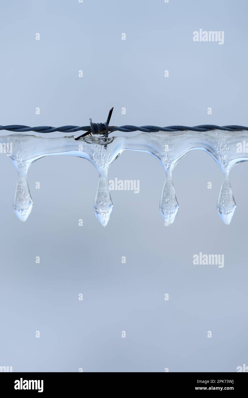 Ice drops... Icicles ( winter flood 2020/2021 ), naturally formed ice ...