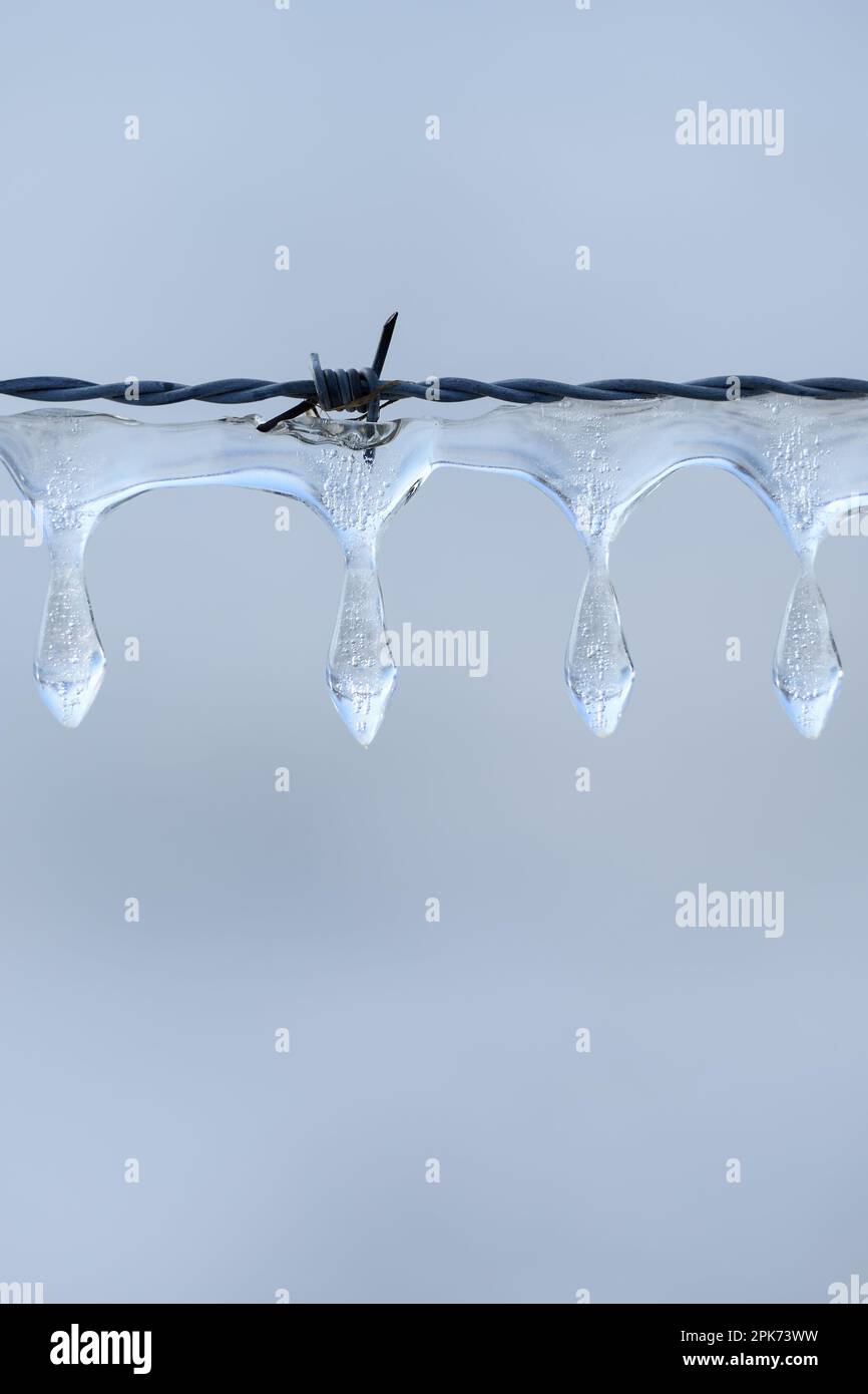 Ice drops... Icicles ( winter flood 2020/2021 ), naturally formed ice ...