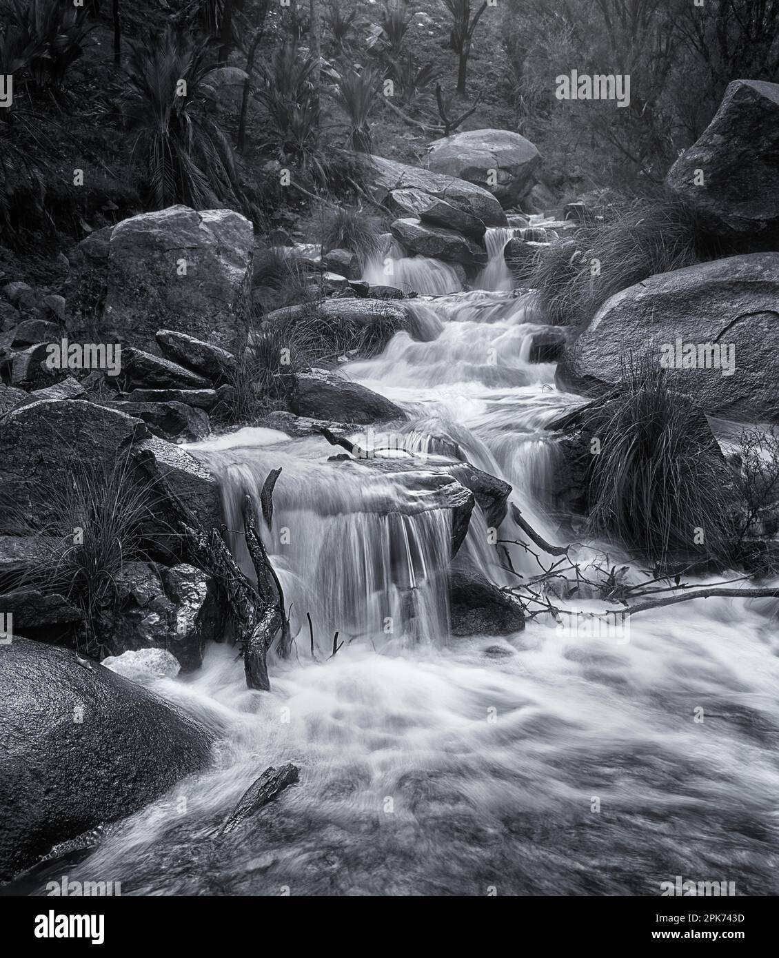 Black and white image of waterfalls in the Perth hills, Western ...