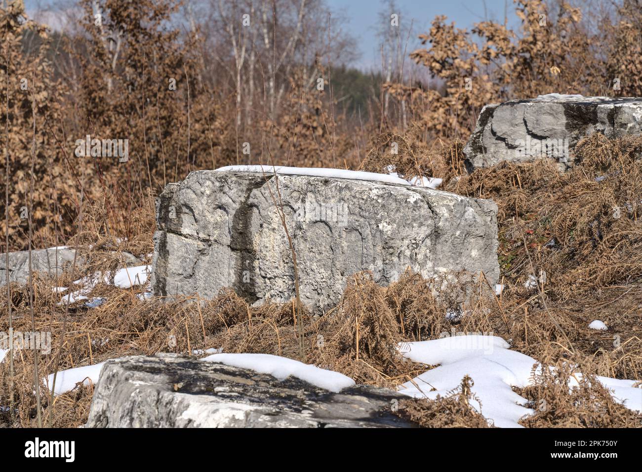 Prijepolje, Serbia – February 2023: Necropolis with medieval Stecak ...