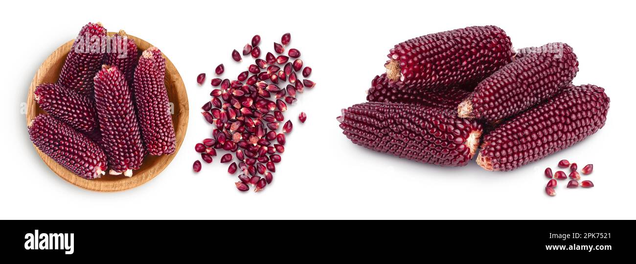 Purple corn or maize seeds in wooden bowl isolated on white background ...