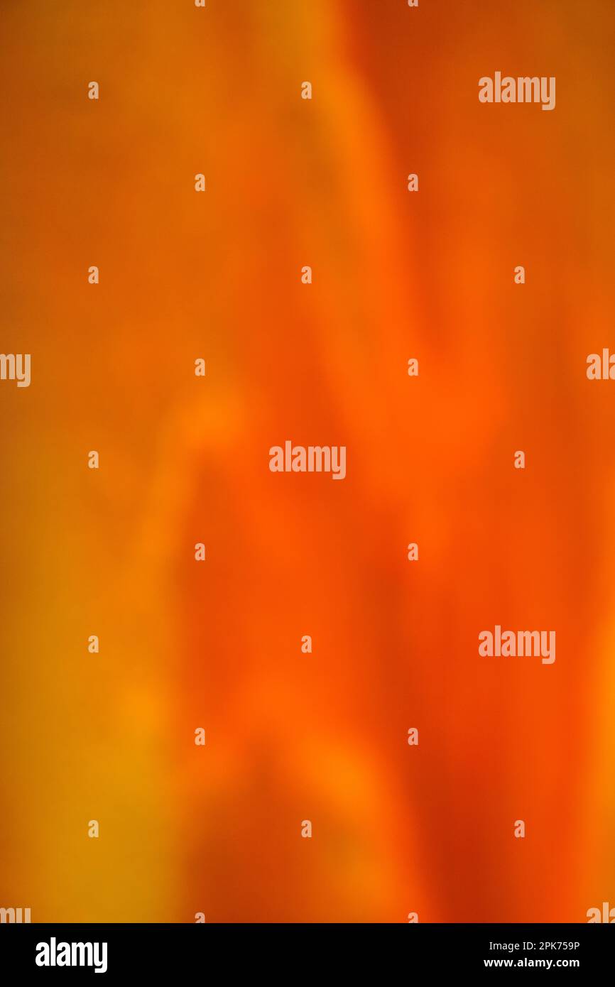 Hot orange background with touches of yellow and green, suggestive of ...