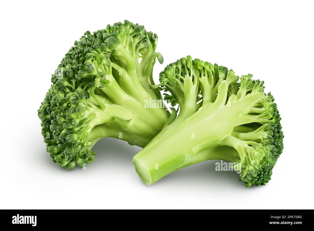 fresh broccoli isolated on white background close-up with full depth of ...