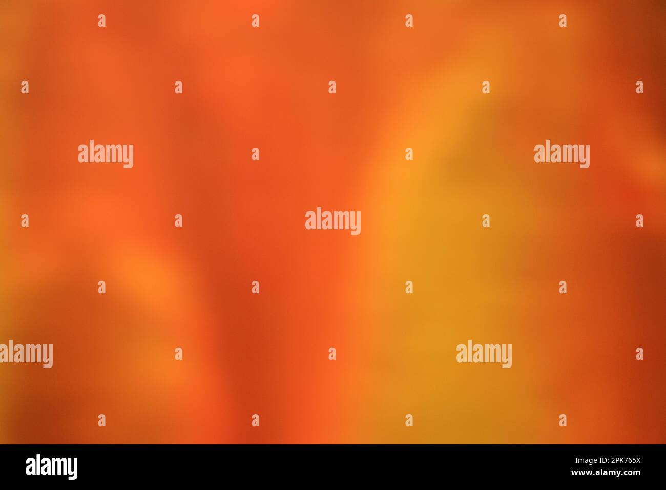 Hot orange background with touches of yellow and green, suggestive of ...