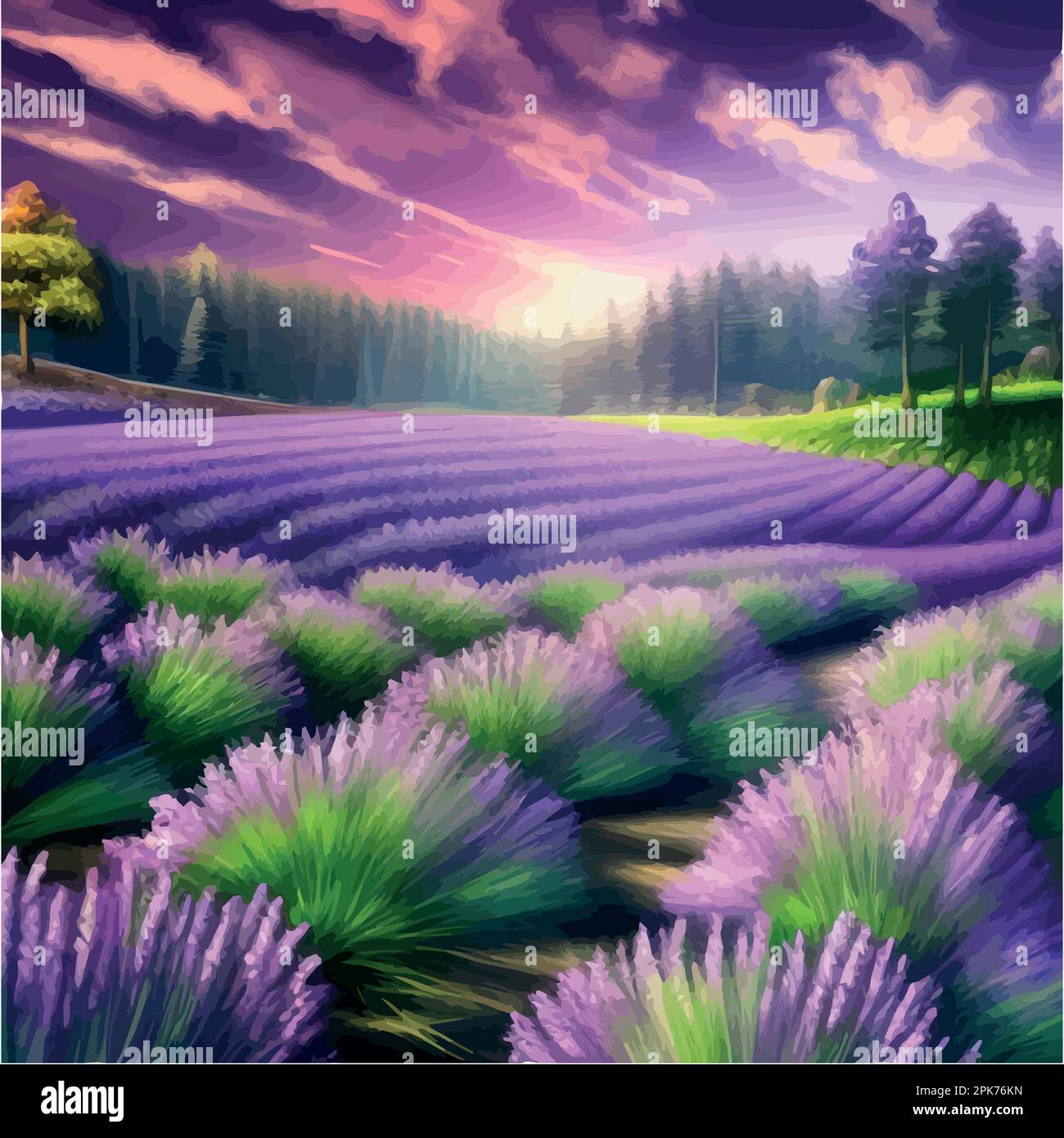 Lavander provence Stock Vector Images - Alamy