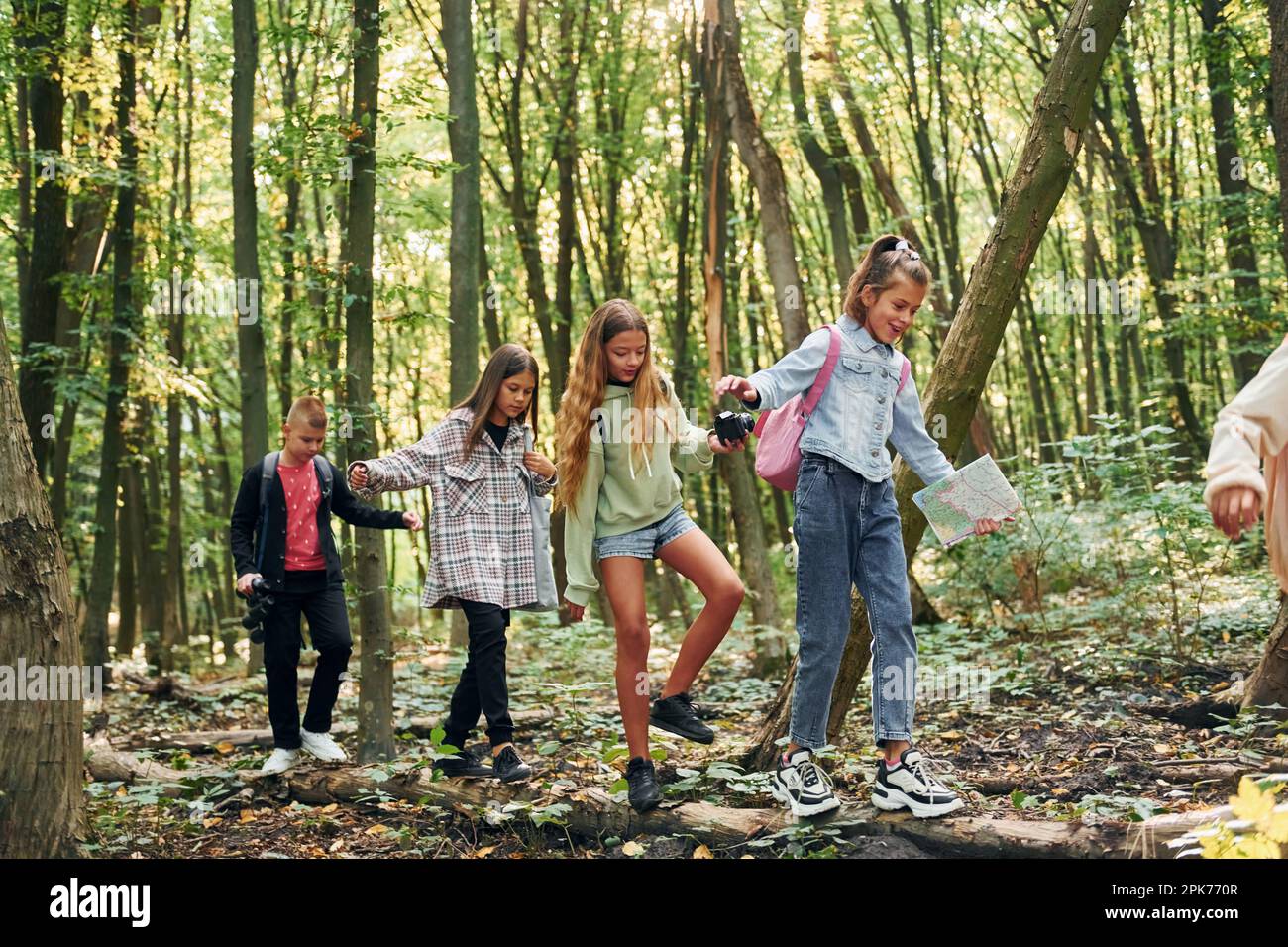 Walking together. Kids in green forest at summer daytime together Stock ...