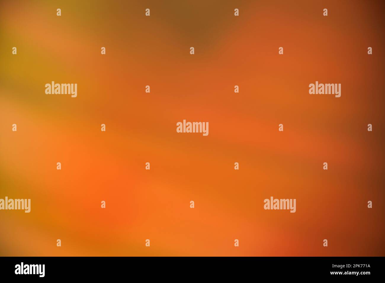 Hot orange background with touches of yellow and green, suggestive of ...