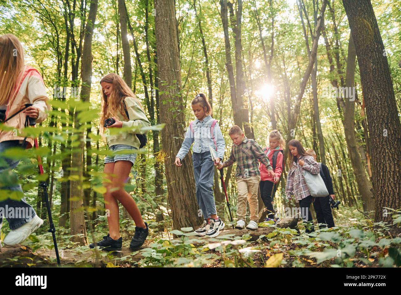 Walking together. Kids in green forest at summer daytime together Stock ...