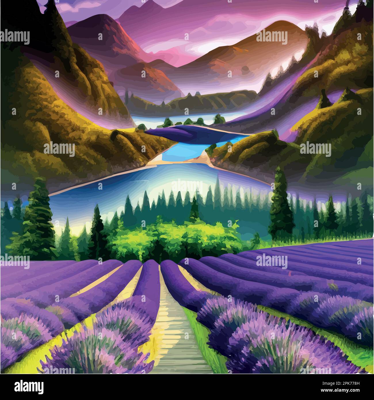 Lavender Field Panoramic