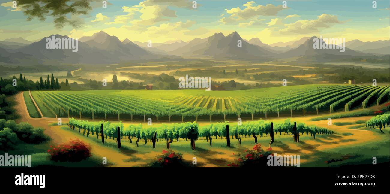 Vineyard vegetation Stock Vector Images - Alamy