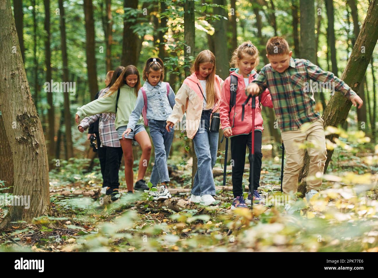 Walking on the new path. Kids in green forest at summer daytime ...