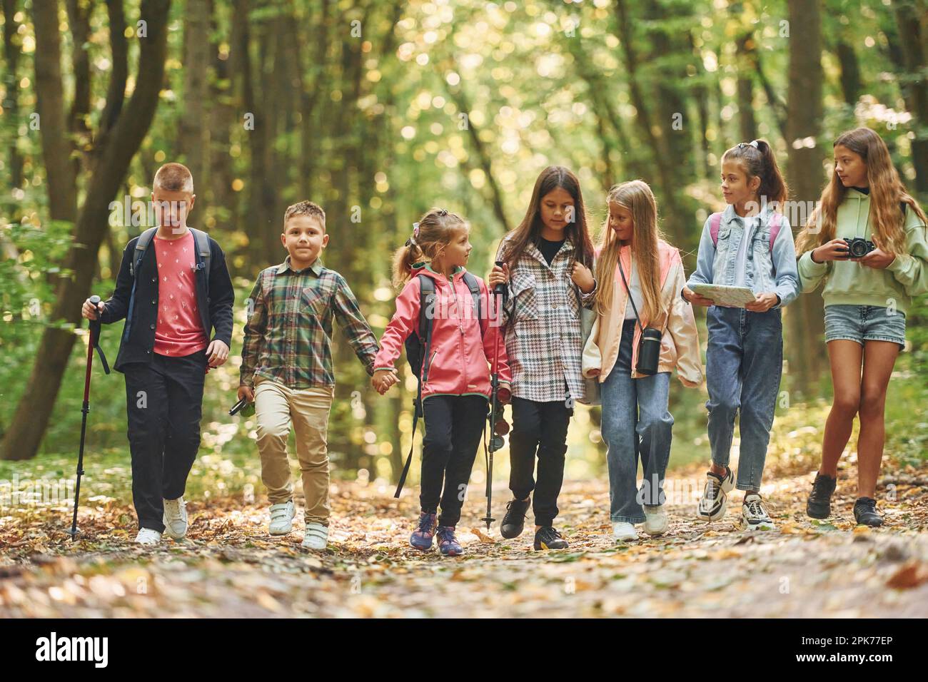 In green forest. Kids having a walk outdoors at summer daytime together ...