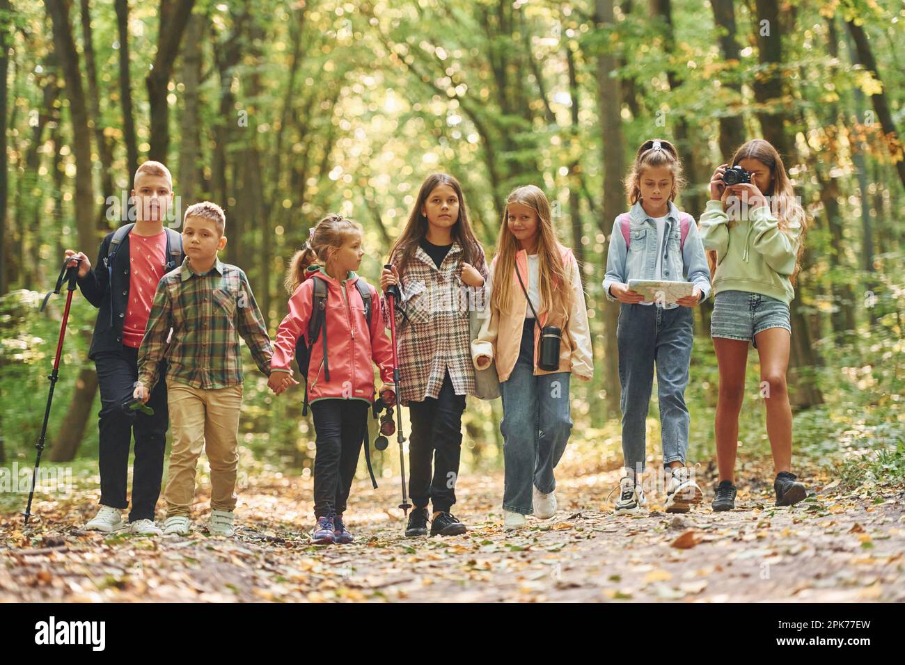 In green forest. Kids having a walk outdoors at summer daytime together ...