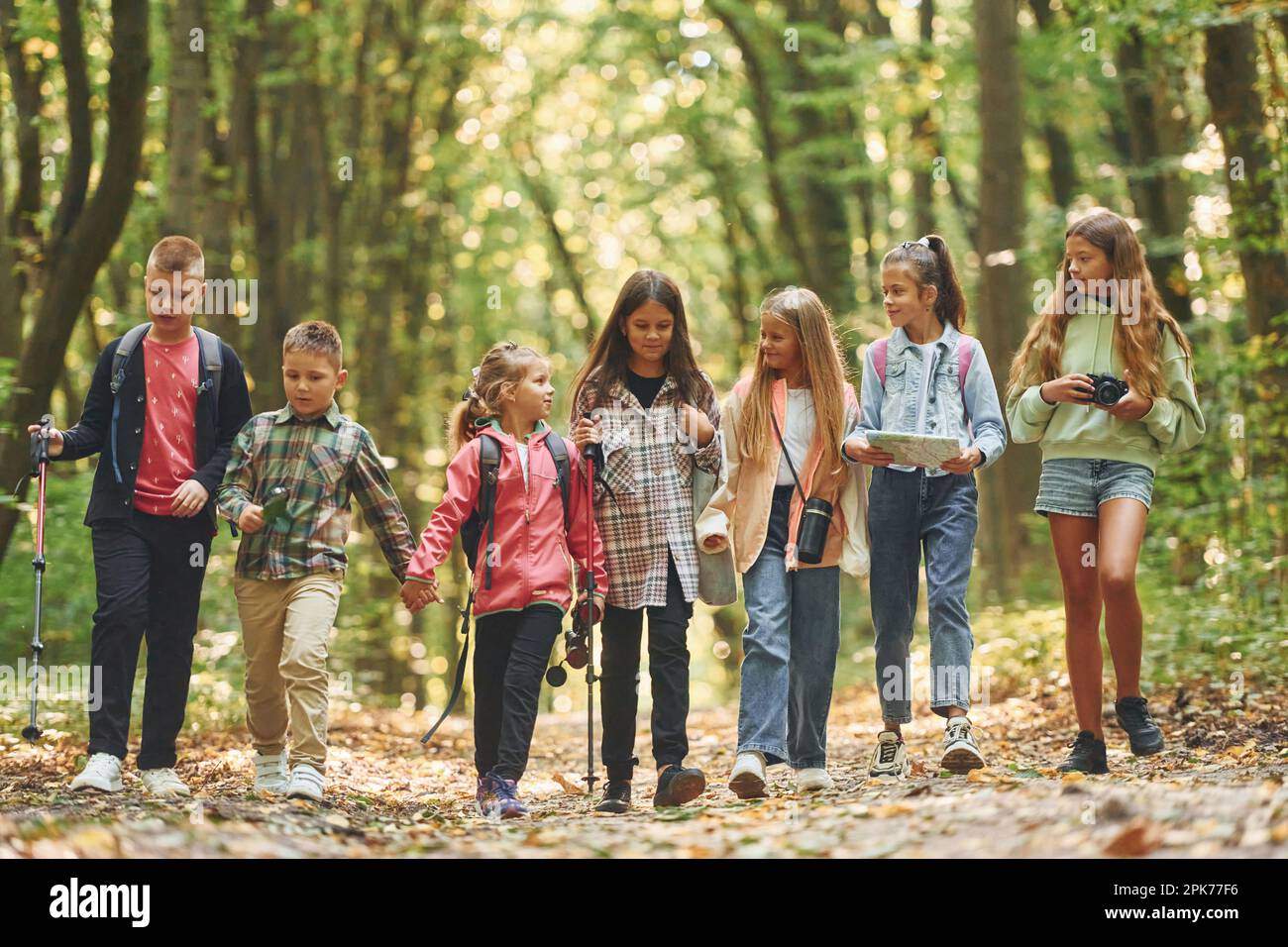 In green forest. Kids having a walk outdoors at summer daytime together ...
