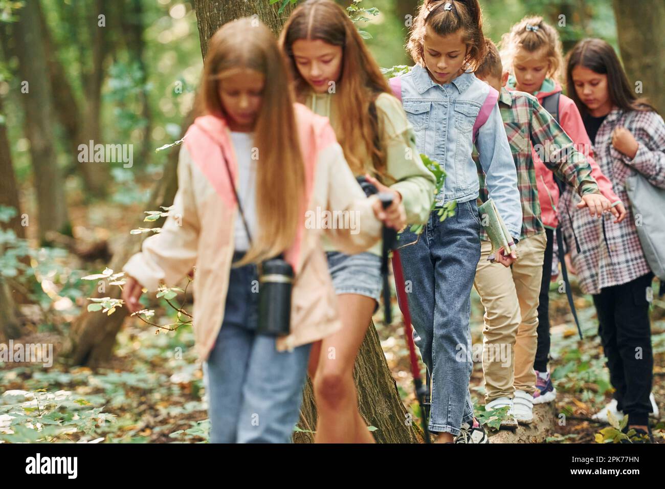 Walking on the new path. Kids in green forest at summer daytime ...