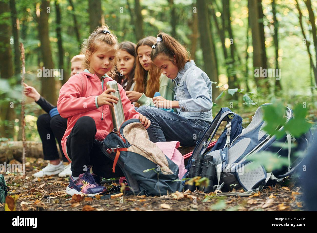 Sitting and having a rest. Kids in green forest at summer daytime ...