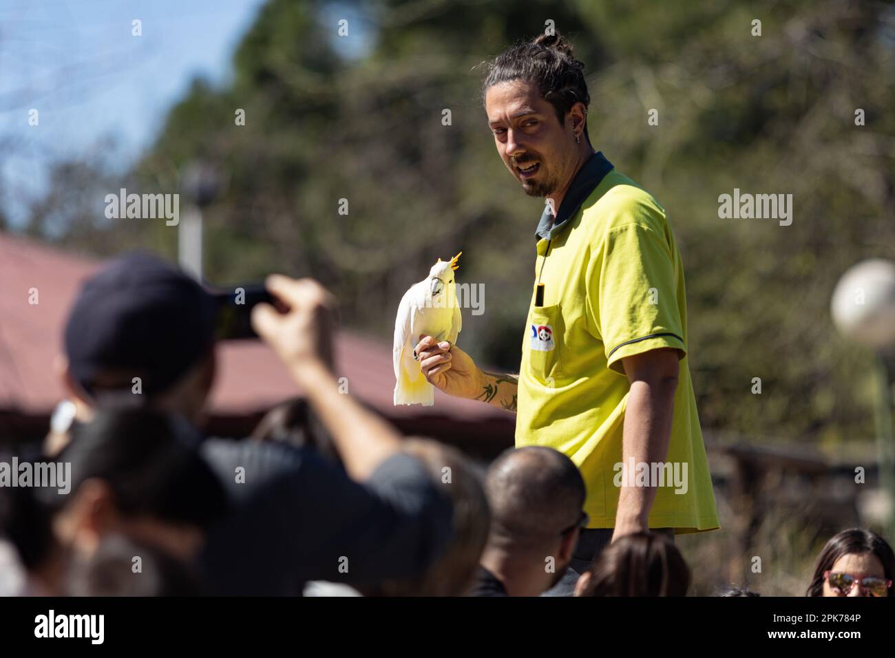 EXHIBITION OF EXOTIC BIRDS, BIRDS OF PREY AND CARRION EATERS AT THE ...