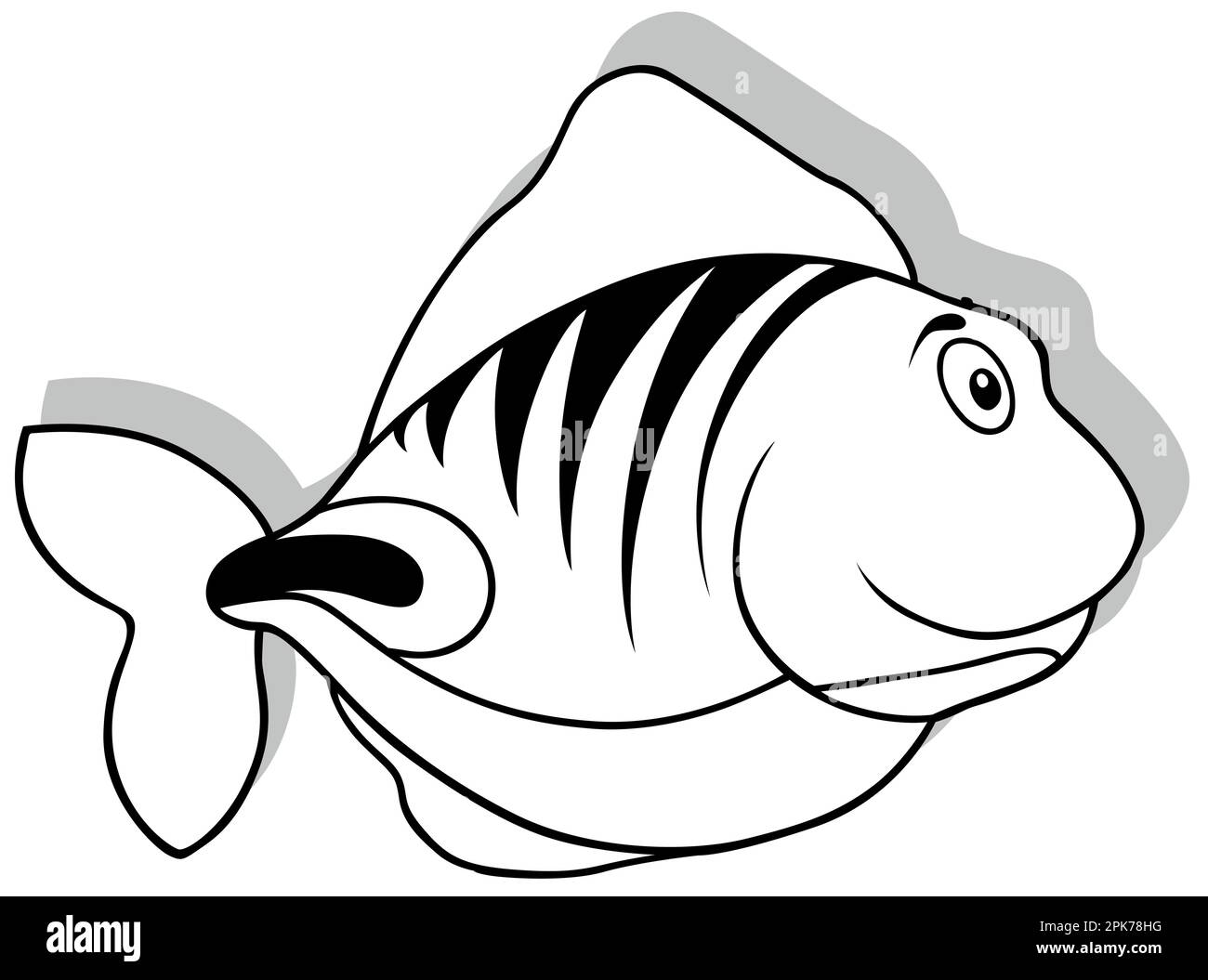 Tropical striped sea fish Black and White Stock Photos & Images - Alamy