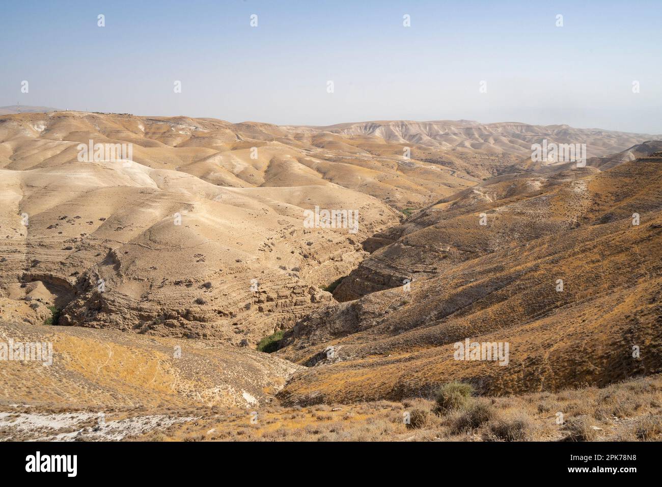 A panoramic view of the Prat brook, meandering through the Judea desert ...