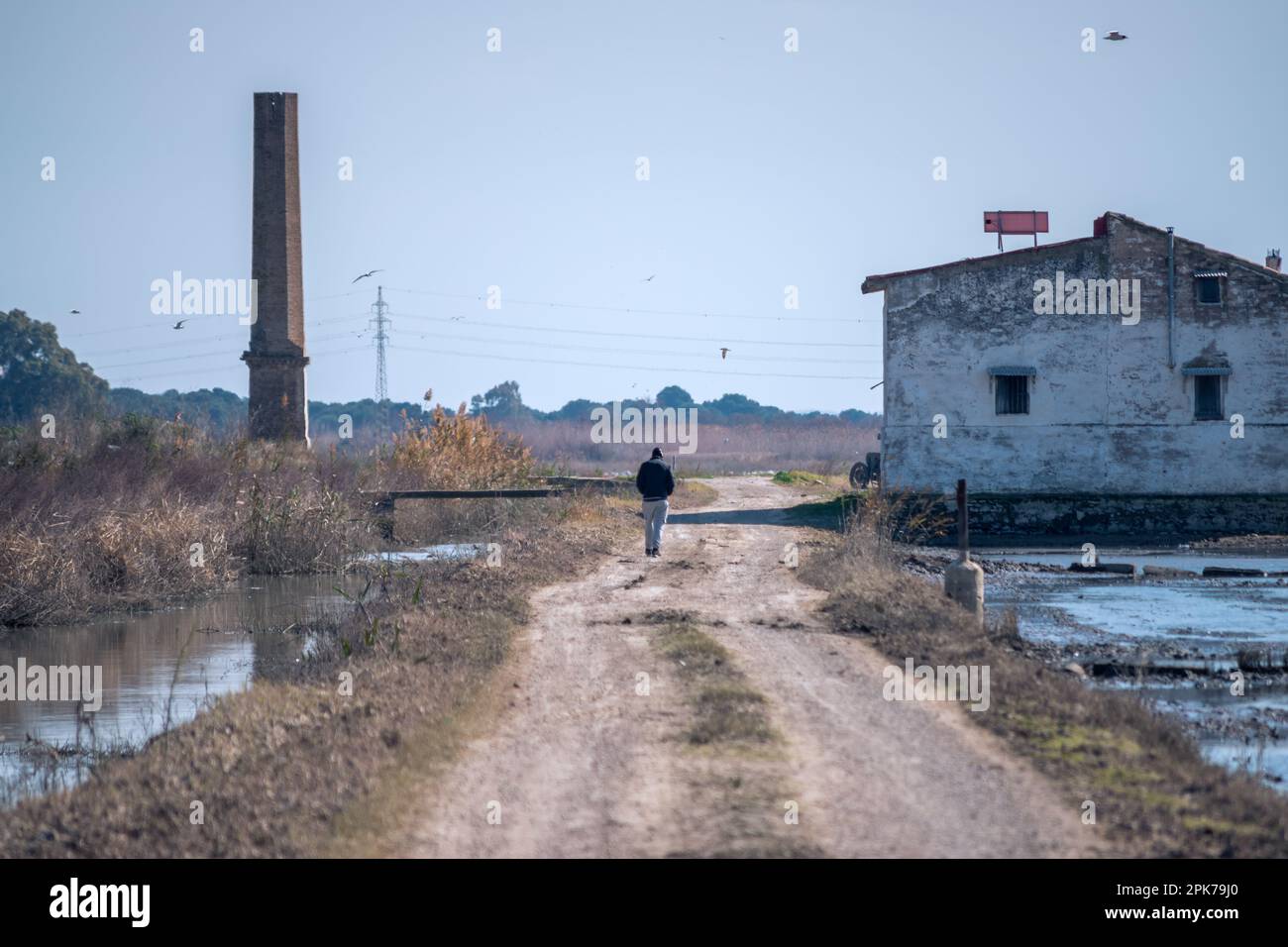 Romantic park and wetland hi-res stock photography and images - Alamy