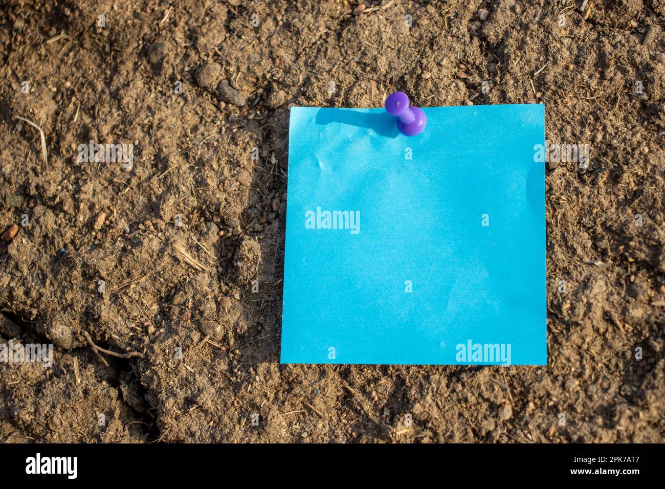 one purple map pin blue square paper note on brown dried mud with empty ...