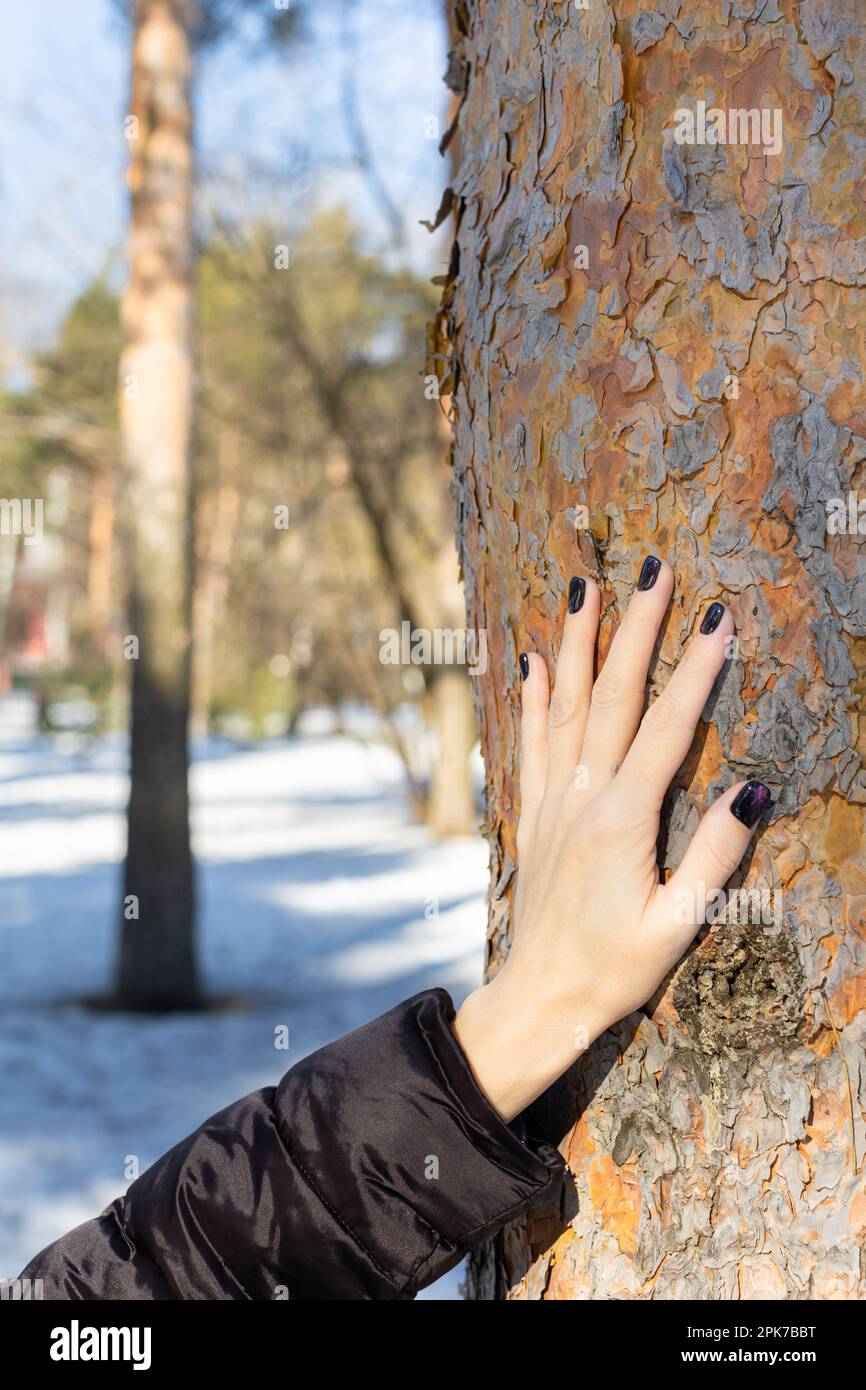 Female hand stroking tree hi-res stock photography and images - Alamy
