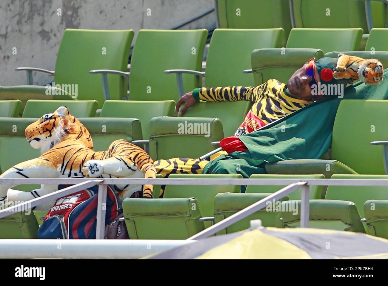 Tiger fan sleeping during the third day of the alone test match between ...