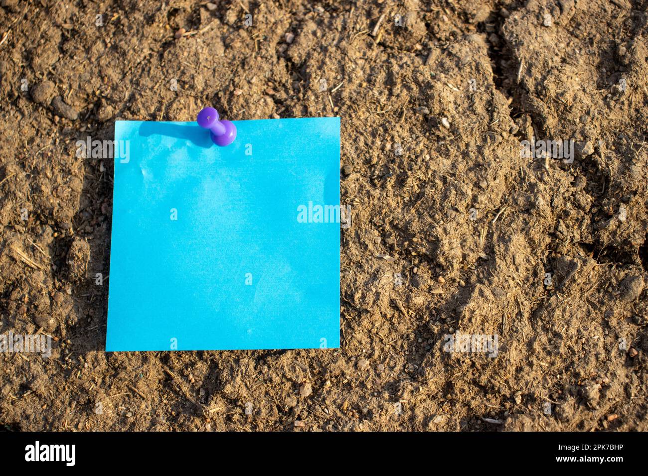 purple map pin blue square paper note on brown dried mud with empty ...