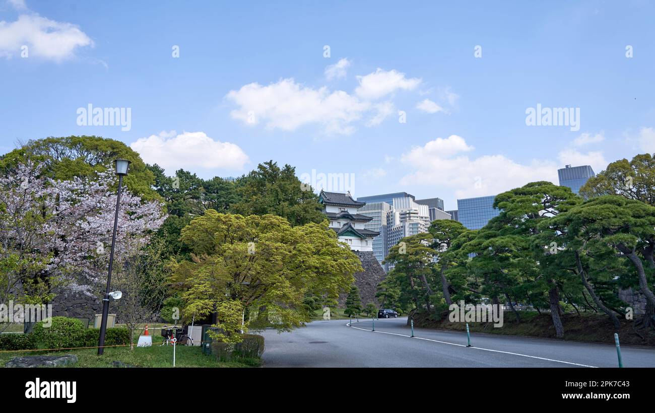 Contrast, vintage and modern buildings in Tokyo Stock Photo - Alamy